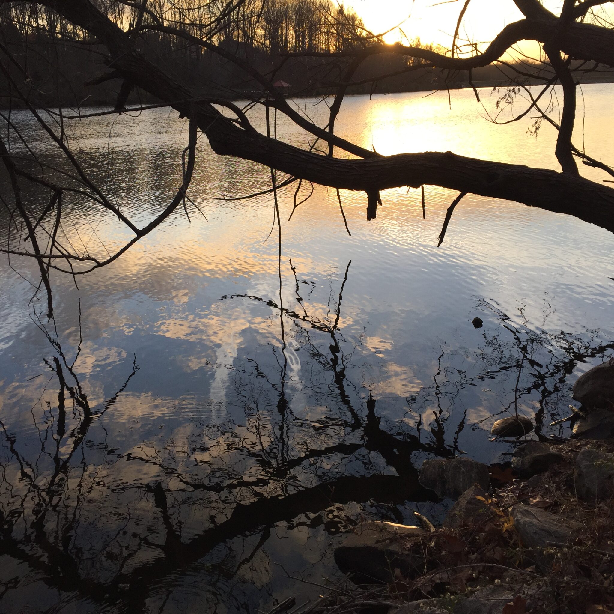 Prophecies of the Bible: Odds, Evidence, and Astonishing Fulfillment – Burner